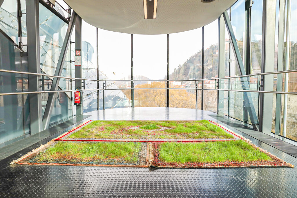 Tiere, Teppiche und viel Tanz | Kulturzeitung 80